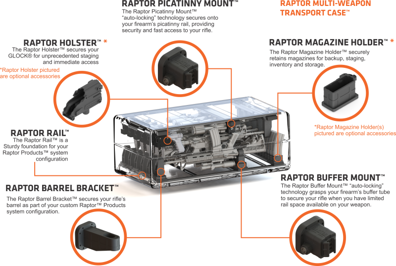 Fast Access Gun Mount and Display System